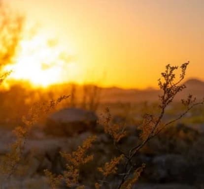 Why Trane - DALLAH TRADING ( TRANE ), Jeddah SAUDI ARABIA